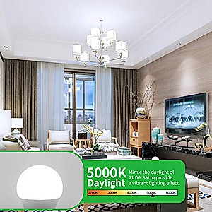 hansang E12 LED Bulb 5000K Daylight 8 Pack Ceiling Fan Light Bulbs, A15 Candelabra LED Bulbs for Chandelier,6W 60W Incandescent Equivalent,600LM,120V,Non-dimmable