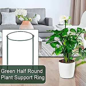 12 Pack Plant Support Stakes, Peony Cages and Supports Large 10" Wide x 24" High Tall Peony Ring Supports, Garden Plant Stakes for Outdoor Plants Rose, Tomato, Hydrangea, Flowers