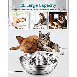 Huicocy Cat Water Fountain Stainless Steel, 67Oz/2L Pet Fountain with Ultra-Quiet Design, Visible Water Level, 360° Automatic Cat Water Dispenser Easy Assemble and Clean,Supply Water Even Power Off