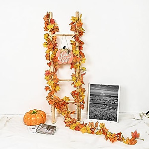 Dolicer 2 Packs 12Ft Fall Garland Maple Leaf, Fall Foliage Garland, Artificial Fall Hanging Garland Vine with Special Pumpkin Sign for Thanksgiving Door Fireplace Party Home Decor