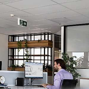 HP ProDesk 405 G8 Desktop Computer - AMD Ryzen 5 PRO 5650GE Hexa-core (6 Core) 3.40 GHz - 8 GB RAM DDR4 SDRAM - 256 GB NVMe M.2 PCI Express SSD - Mini PC - AMD PRO 565 Chip - Windows 10 - AMD Radeon G