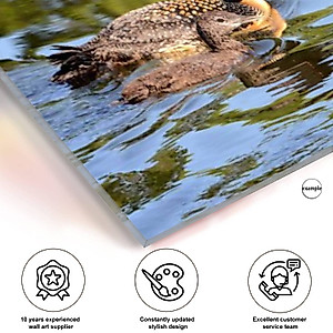 XEAJPJMGBQ Tempered Acrylic Glass Wall Art Common loon Modern Acrylic Artworks Picture Print Accent Decor for Living Room Bedroom Office Free Floating