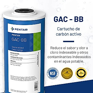 Pentair Pentek GAC-BB Big Blue Carbon Water Filter, 10-Inch, Whole House Heavy Duty Granular Activated Carbon (GAC) Replacement Cartridge, 10" x 4.5"
