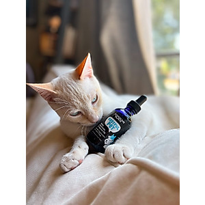 Homescape Pets Restful Pet - Calming Drops - Anxiety, Fireworks, Storms, Stress Relief - Organic Hemp Oil, Chamomile & Valerian for Dogs and Cats - Vet Recommended