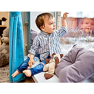 Myakishi Warmy, heatable Toy with Cherry Seeds, microwavable Soft Toy Raccoon