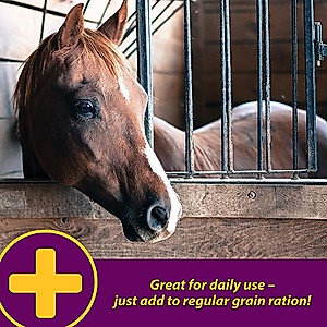 Horse Health Apple-Dex Apple Flavored Electrolytes for Horses, Replaces minerals lost during exercise, under stress or extreme weather conditions, 5 pound