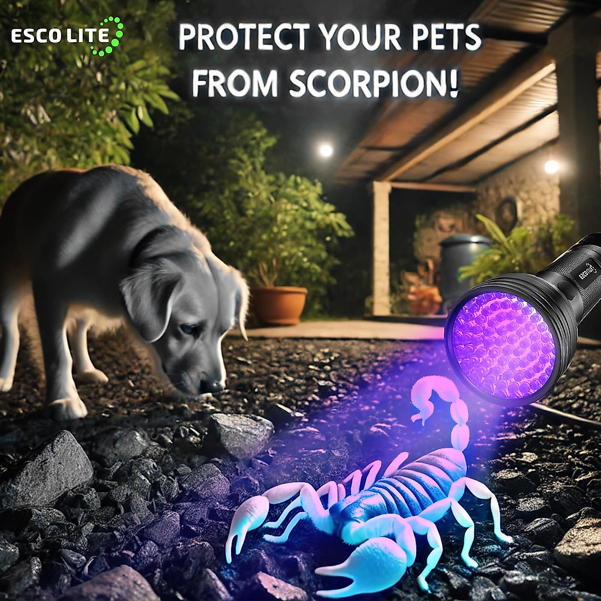 Escolite UV Flashlight Black Light 51 LED 395 nM Ultraviolet Blacklight Flashlite for Pet Urine Detection,Dry Stains,Bed Bug,Scorpion,Dog/Cat Urine Light Detector Matching with Pet Odor Eliminator