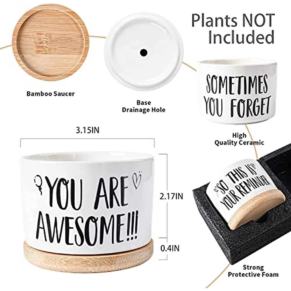 Birthday Gifts for Women, Friend Gifts for Women, Gifts for Her, Sister Gifts, Funny Gifts for Women Unique Gift Ideas for Mom Men Awesome Succulent Pots 3PCS