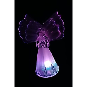 Starry Illuminate 1 PCS Solar Color Changing Style Garden Stake Light Pathway Stake Light (Fiber Wings Angel), Clear