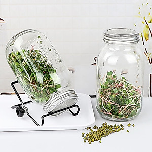 ccHuDE 3 Pcs 304 Stainless Steel Sprouting Lids Mason Jar Sprout Lids Screen Mesh Canning Jar Lids Wide Mouth Jar Cover Lids for Growing Bean