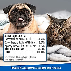 Adams Plus Flea & Tick Spray For Dogs and Cats | Kills Adult Fleas, Flea Eggs, Flea Larvae, Ticks, and Repels Mosquitoes For Up To 2 Weeks | Controls Flea Reinfestation For Up To 2 Months | 16 Oz