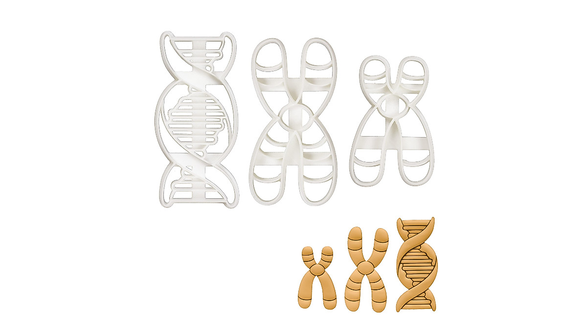 DNA Themed Cookie Cutters Set - 3 Designs