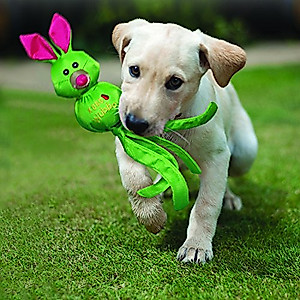 KONG Wubba Ballistic Friends Dog Toy, X-Large, Single toy/ Assorted