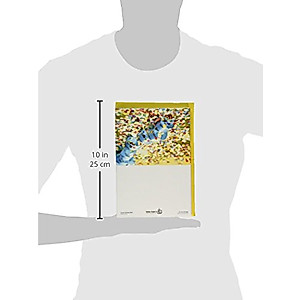 Note Card Cafe Happy Birthday Cards with Yellow Envelopes | 36 Pack | Blank Inside, Glossy Finish | It's Your Birthday Assortment Designs | Bulk Set for Greeting, Occasions, Birthday