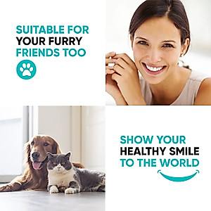 Dental Tools by HOKIN Plaque Remover Teeth Cleaning Tool Dental Care Kit Tooth Filling Repair Set Stainless Steel Dental Picks for Men Women Kids and Pet Care (5 Pcs)