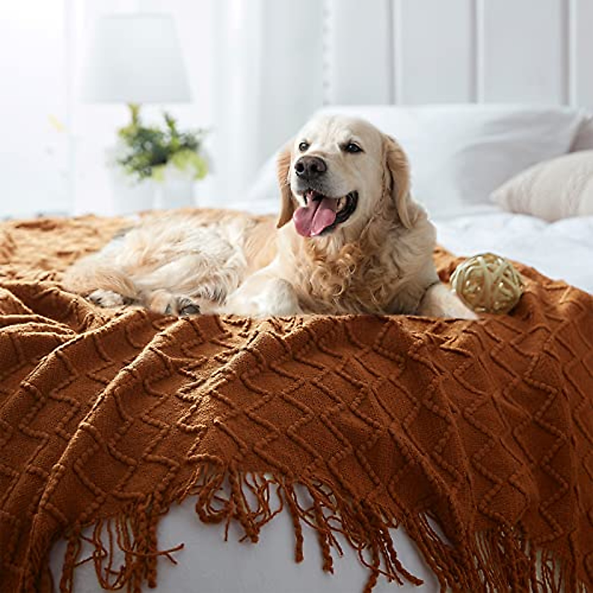 SunStyle Home Rust Throw Blanket for Couch 50 x 60 inches - Decorative Knitted Summer Blankets with Tassels - Soft Lightweight Woven Textured Solid Farmhouse Throw for All Seasons