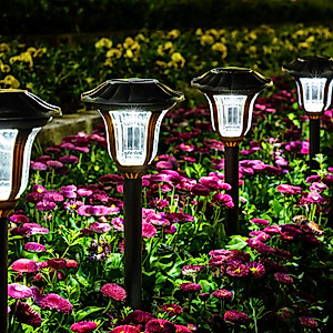 GIGALUMI Solar Pathway Lights, 8 Pack Bright Solar Garden Lights, Solar Powered Walkway Lights, Solar Lights Outdoor Waterproof Solar Path Lights for Yard, Patio, Driveway (Cold White)…