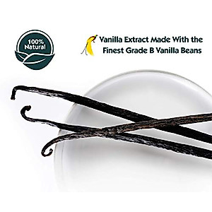 16 oz Pure Vanilla Extract - 100% Real Vanilla Extract - Made from Grade B Vanilla Beans - For Cooking, Drinks & Desserts - 100% Vegan, Sugar Free & Kosher - Non-GMO & Gluten-Free - Native Vanilla