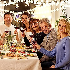 Swanfort Red Wine Glasses Set of 4, Long Stem Crystal Wine Glasses, Burgundy Wine Glasses in Gift Box, Large Wine Glasses With Stem for Any Occasions-16 oz