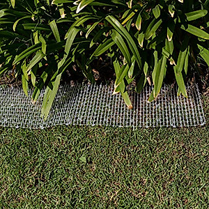 Ultragica Cat Scat Roll - Dog Scat Roll - Plastic Pet Training Mat - 6.5 feet - Keep Dogs Off Couch - Cat Spike Mat - Cat Deterrent- Cat Off Couch- Pet Off Couch- Pet Off Furniture