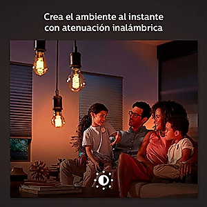 Philips Hue White Dimmable Filament A19 Smart Edison Vintage LED Bulb, Bluetooth & Hub Compatible (Hue Hub Optional), Voice Activated with Alexa
