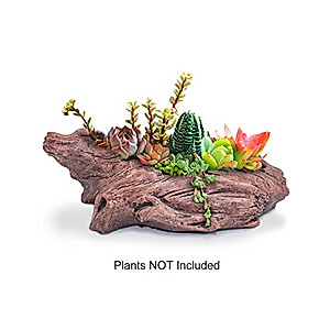 Dahlia Driftwood Stump Log Concrete Planter/Succulent Pot/Plant Pot, 7.9L x 4.3W