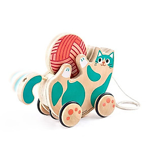 Hape Wooden Walk-A-Long Kitten Pull Toy| Roll & Rattle Push Pull Toy for Toddler| Montessori Toys for Walking Toddlers, Green