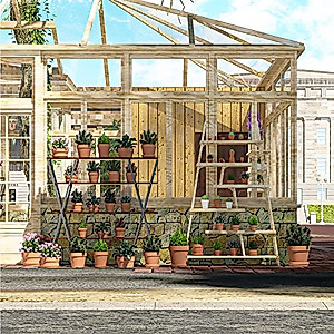 Fcacti 6 Inch Terracotta Shallow Succulent Pot - 6 Pack Large Terra Cotta Clay Pots with Drainage Hole, Round Shallow Terra-Cotta Bonsai Pot for Indoor/Outdoor Plants