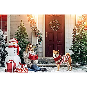 CooShou 2Pcs Christmas Dog Sweater Costume Cat Knitwear Dog Xmas Clothes Blue Christmas Red Sweaters with Diamond Plaid Pattern for Kitten Cat Puppy Dog XS