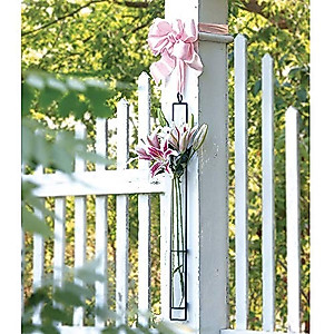 Hanging Glass Planter Water Iron Art Hydroponic Vase Transparent Test Tube Flower Hanging Bottle Home Decoration (3pcs-S,M,L)