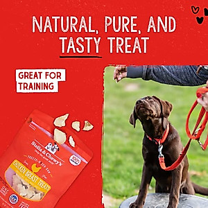 Stella & Chewy's Freeze-Dried Raw Single Ingredient Chicken Breast Treats, 2.75 oz. Bag