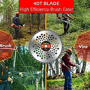 Rokrou 2 Pack Weed Eater Blades Brush Cutter Blades 10" 80T &10" 40T, Grass Cutter Trimmer with Washer 25.4mm/1" to 20mm/0.78"