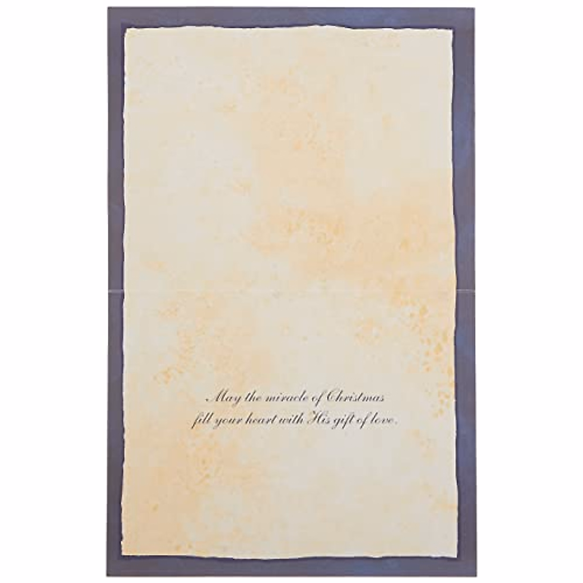 LANG "Rejoice" Christmas Cards by Susan Winget, 18 Cards with 19 Envelopes and Beautiful Artwork, Perfect for Sharing Warm Wishes this Holiday Season, 5.38" x 6.88" (1004686)