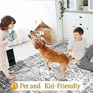 TANVILL Persian Distressed Area Rug 5x7 Machine Washable Rugs for Bedroom, Living Room, Stain Resistant, Non-Slip, Non-Shedding, Grey