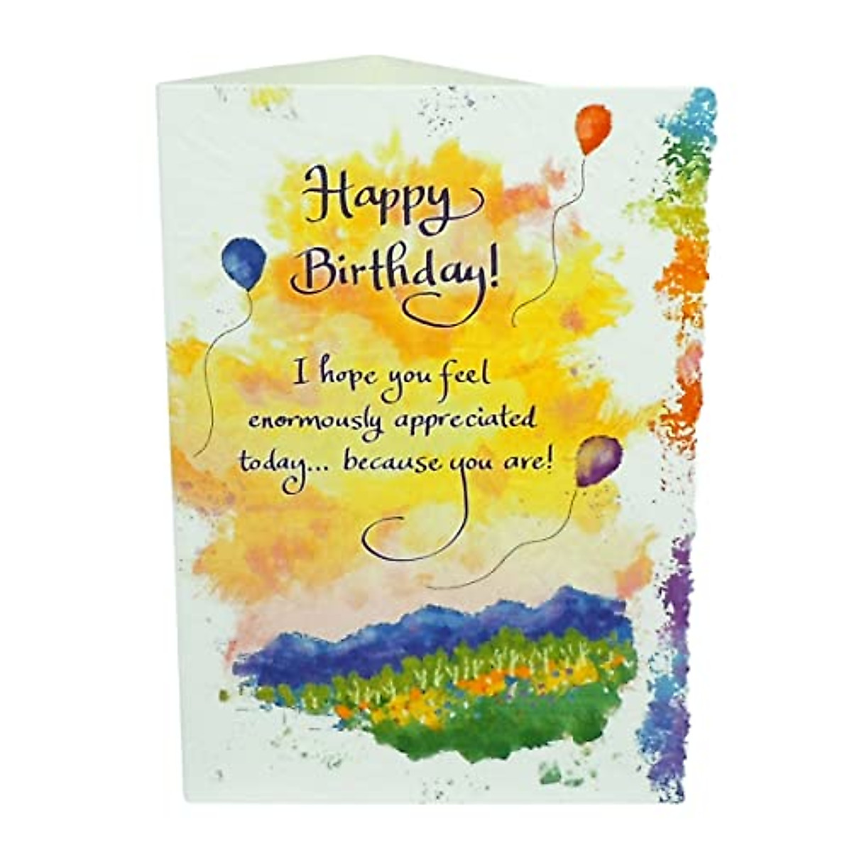 Blue Mountain Arts Birthday Card Assortment—4 Unique Greeting Cards with Uplifting Happy Birthday Wishes for the Special People in Your Life