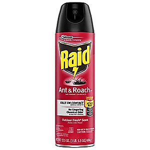 Raid Ant & Roach Killer Spray For Listed Bugs, Keeps Killing for Weeks, Fresh Scent, 17.5 oz