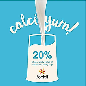 Yoplait Original Mixed Berry Low Fat Yogurt, 6 OZ Yogurt Cup