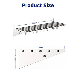 RIEDHOFF Metal Kitchen Rack for Storage and Organization, [NSF Certified] 12" x 24" Stainless Steel Wall Mount Shelf with 10 S Hooks for Hanging Pots, Pans, Cookware in Home and Restaurant