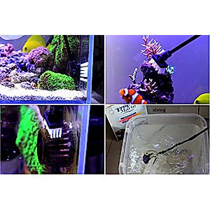 QANVEE Aquarium Algae Scraper Cleaner Brush with 10 Stainless Steel Blades for Fish Reef Plant Glass Tank 26 Inch