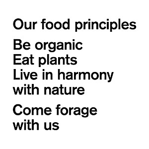 Forager Project Organic Strawberry Cashew Drinkable Yogurt, 8 FZ