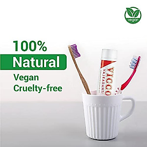 Vicco Vajradanti Herbal Toothpaste 18 Herbs and Barks - Pack of 3 (100g) - Specially Packed and Exported by Behal International