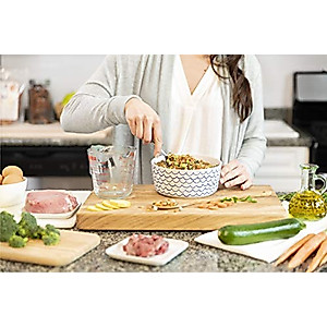 Dr. Harvey's Canine Health Miracle Dog Food, Human Grade Dehydrated Base Mix for Dogs with Organic Whole Grains and Vegetables (10 Pounds)