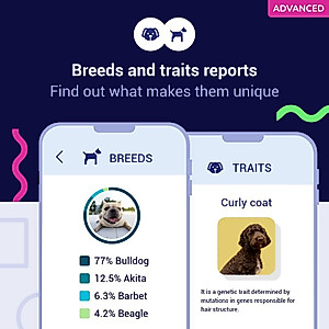 tellmeGen Koko Genetics DNA Test for Dogs Advanced - Analyzes +400 Breeds and +175 Health & Traits Reports