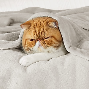 Bedsure Fleece Blanket Queen Blanket Linen - 280GSM Soft Lightweight Plush Cozy Blankets for Bed, Sofa, Couch, Travel, Camping