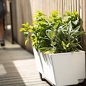 Glowpear Self Watering Planter Box - 23.6", White - UV Stable, Scalable Plant Pot with Water Gauge, Indoor Outdoor for Vegetables, Flowers, Herbs, and Succulents, Gardening