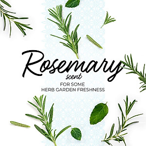 Home Made Simple Dish Soap Natural Dishwashing Liquid Plant Based, Rosemary Scent, 16 Fluid Ounce 1 Pack