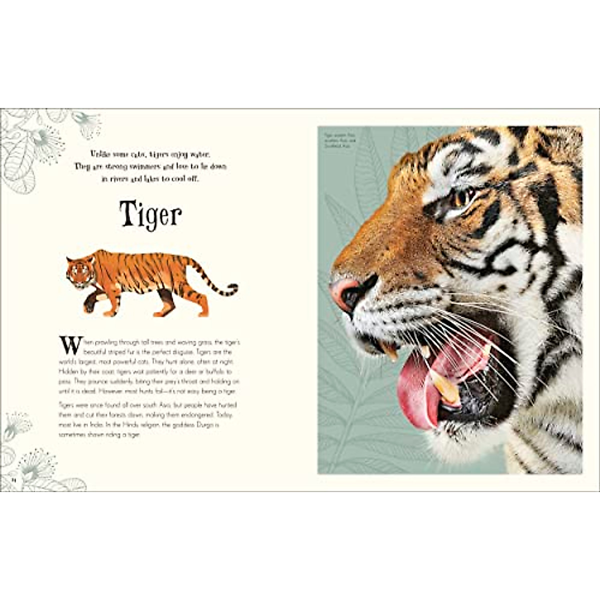 An Anthology of Intriguing Animals (DK Children's Anthologies)