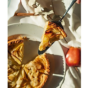 sansheng 5 Pack Stainless Steel Cake Server, Stainless Steel Pie Machine Cake Rack Handle Scraper Slot Pizza Machine Cutting Knife Professional Shovel Server