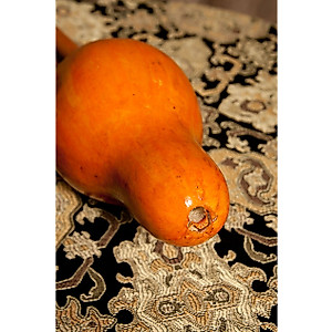 Satnam Hand Crafted (Sapera Been) 16" Snake Charmer Flute Indian Pungi Snake Catcher