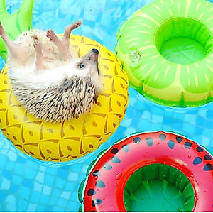 SEZDEKI 5 Pack Bearded Dragon Bathtub Toy - Small Animal Toy Inflatable Float for Hedgehog Lizard Ferret Tortoise Small Pets Accessories Photo Shoot Toy Pet Supplies (5 Pcs)